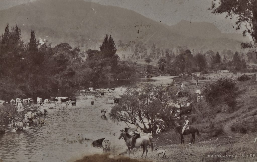 Guringai Kabook and Watoo People of the Guringai Barrington River ...