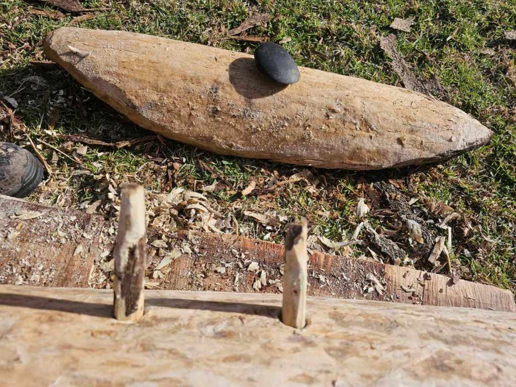 The Art of Shield Making: A Mangrove Masterpiece - Hunter Living Histories