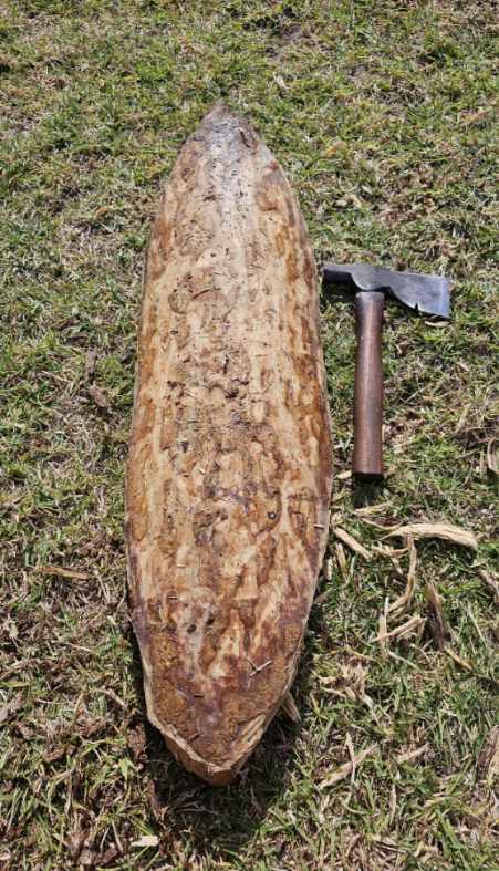 The Art of Shield Making: A Mangrove Masterpiece - Hunter Living Histories