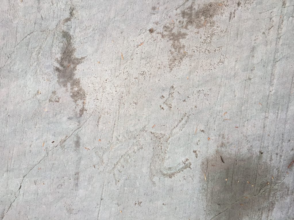 20th INTERNATIONAL ROCK ART CONGRESS IFRAO 2018 - Hunter Living Histories