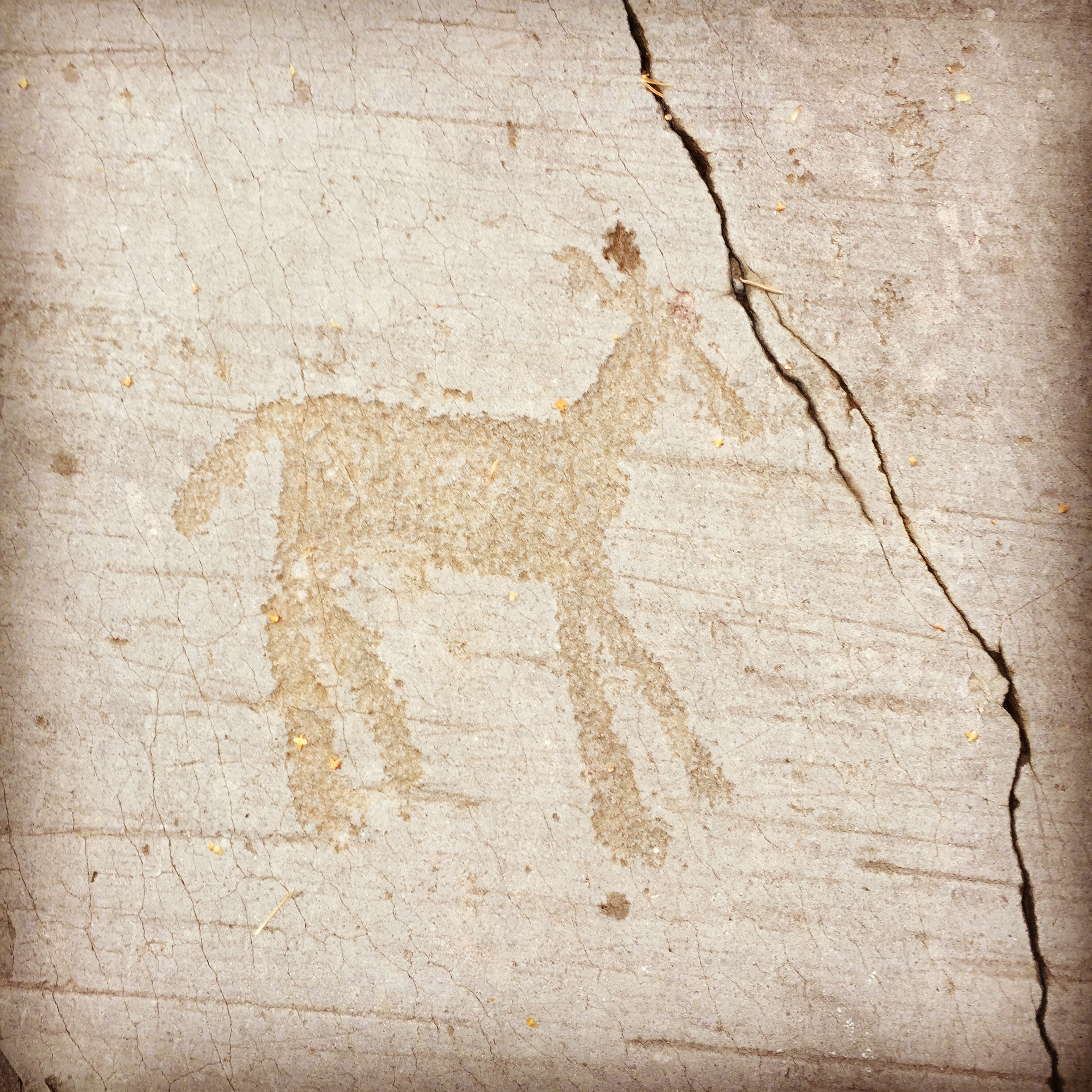 20th INTERNATIONAL ROCK ART CONGRESS IFRAO 2018 - Hunter Living Histories
