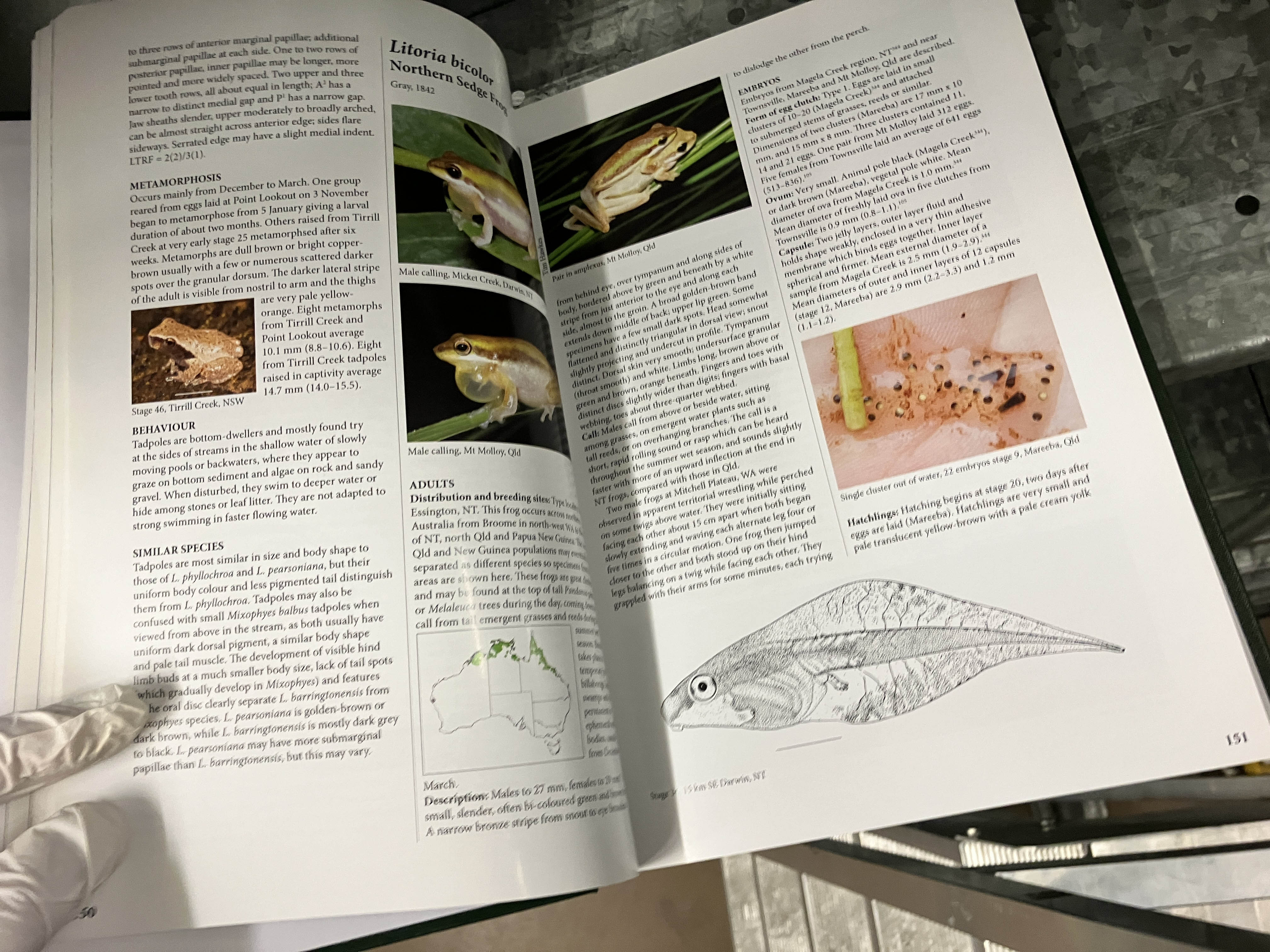 UON60: A Brief Journey Through the Print Thesis Collection - Hunter ...